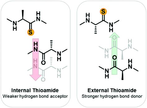 Structural Impact Of Thioamide Incorporation Into A β Hairpin Rsc