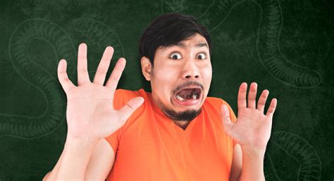 Newly Discovered Invasive Flatworm Could Pose Risk To Neighborhood Ecosystems Scientists Say