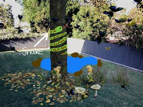 Exploring Habitats With Augmented Reality Apple Education Community