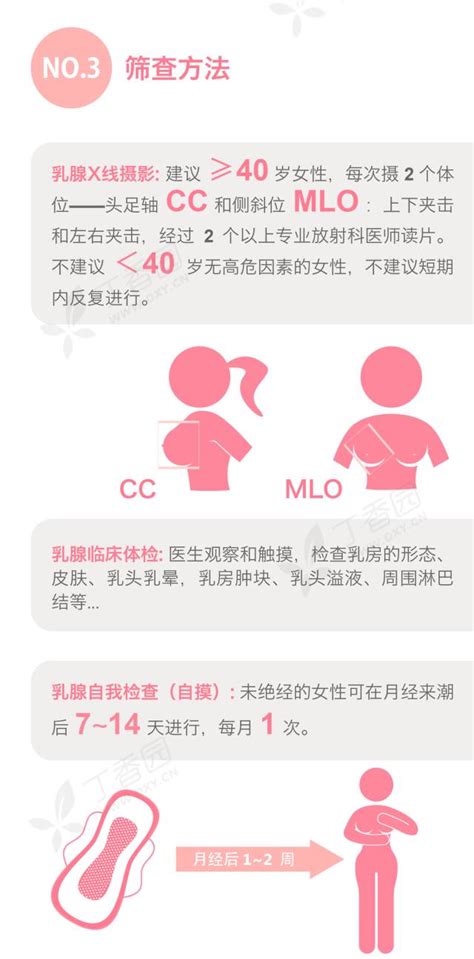 一图读懂：乳腺癌的筛查小熊