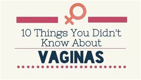 10 Things You Didnt Know About Vaginas Iflscience