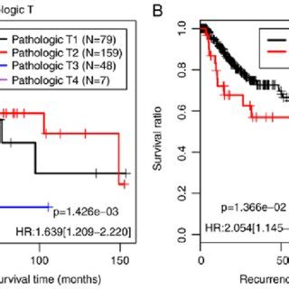 KM Curves A The KM Curve Revealing The Correlation Between Download Scientific Diagram