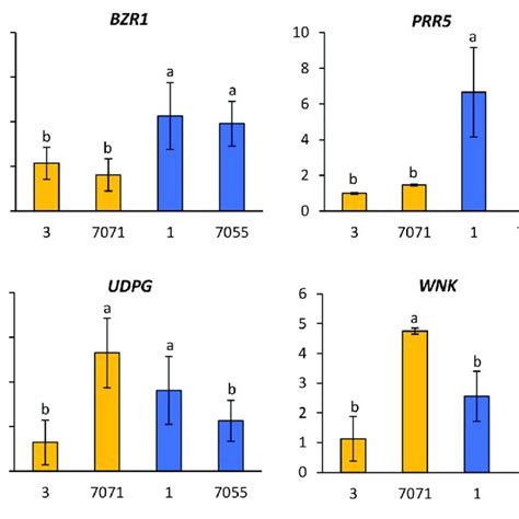 Relative Gene Expression Level In The Early Flowering Genotypes 3