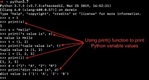 Python Variables AskPython
