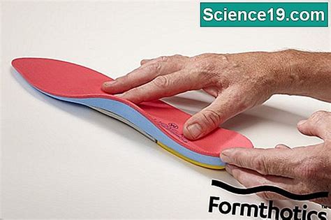 Ανατομικές δομές ομόλογες ανάλογες και υπομονετικές 💫 Επιστημονική Και Δημοφιλή Ιστοσελίδα