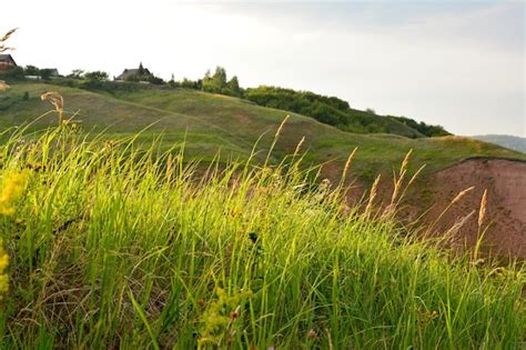 Premium Photo Rolling Hills With Green Grass And Sunlight Isolated