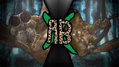 Ogre Faced Spider Vs Assassin Bug By Westpion On Deviantart