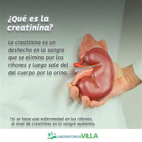 ¿sabes Qué Es La Creatinina ¿alguna Laboratorios Villa Facebook
