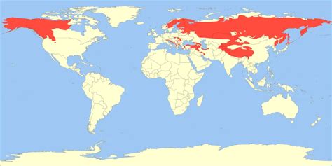 Brown Bear Facts Diet Habitat And Pictures On Animaliabio