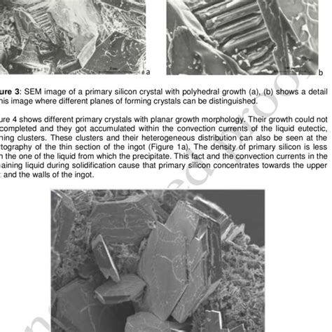 Sem Image Of Primary Silicon Of Planar Growth Pattern Embedded Into