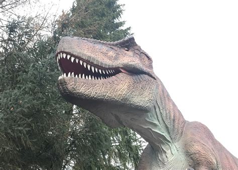 Tyrannosaurus Rex Blair Drummond Safari Park