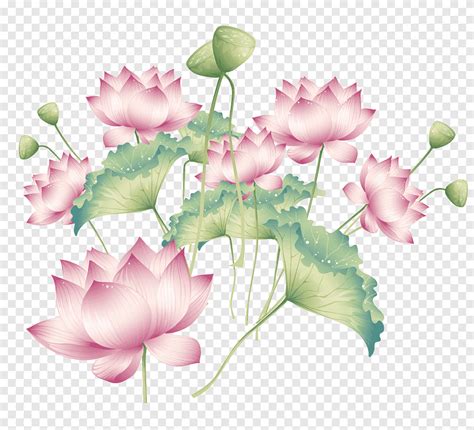 보라색 꽃과 녹색 잎 그림 불교 Nelumbo Nucifera 중국 바람 재료 연꽃 불교 꽃 배열 중국 스타일 Png Pngegg