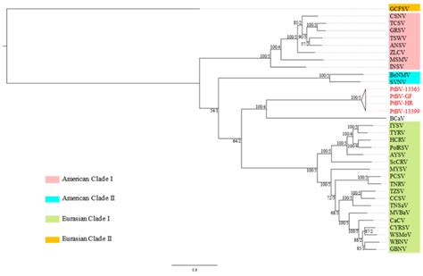 Maximum Likelihood Reconstruction Of The Phylogeny Of Orthotospoviruses