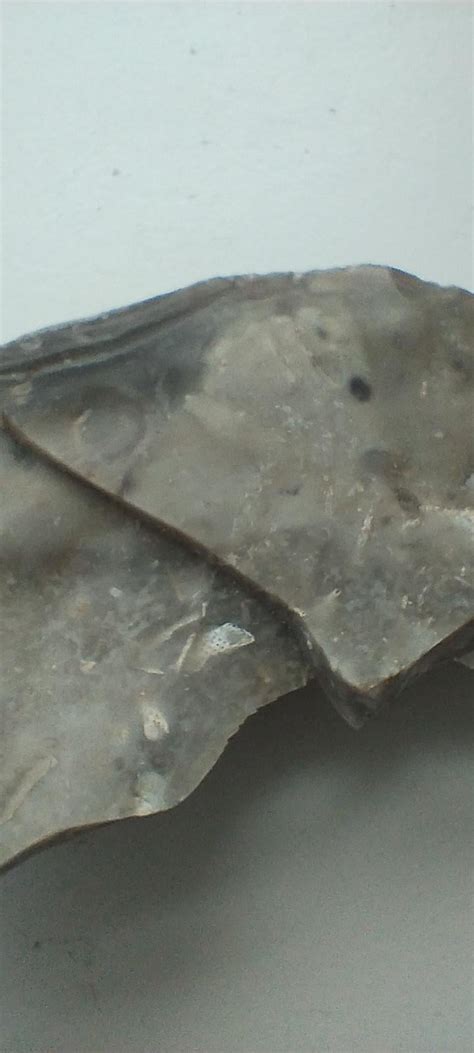 I Know Nothing About Rocks And Fossils But I Love Going Around And