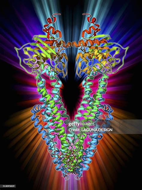 Atpbinding Cassette Transporter ストックイラストレーション Getty Images
