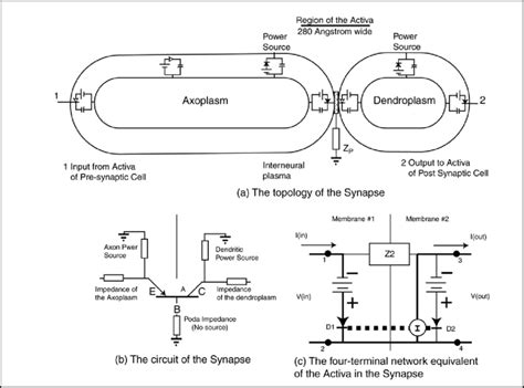 3 2 1 the topology circuit and four terminal network of the synapse