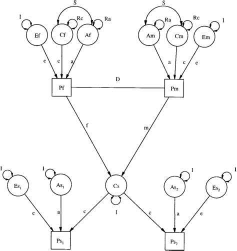 Multivariate Path Diagram Model Of Familial Resemblance For Adoptive