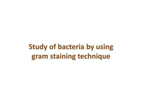 Gram Positive And Gram Negative Bacteria Pptx