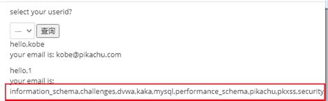 Pikachu皮卡丘靶场——sql Injectsql注入 通关 Cn Sec 中文网