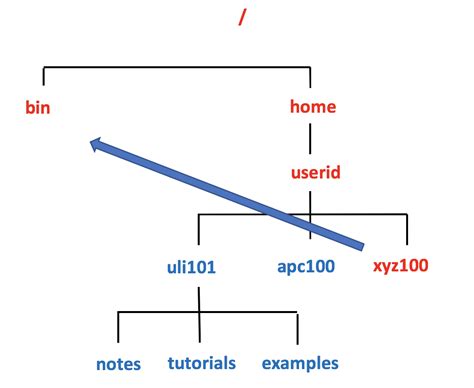 Tutorial 2 Advanced File Management And Quoting Special Characters