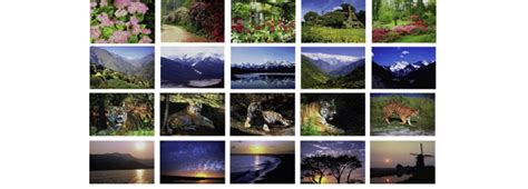 Semantic Retrieval Results On Corel5k Dataset Each Row Shows The Top 5 Download Scientific