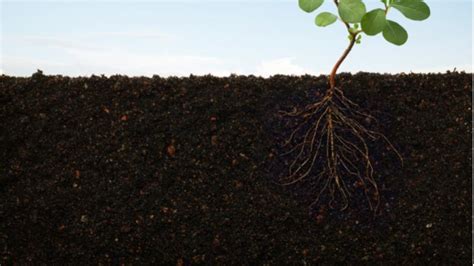 Introduction To Cause Mapping® Effective Root Cause Analysis Thinkreliability