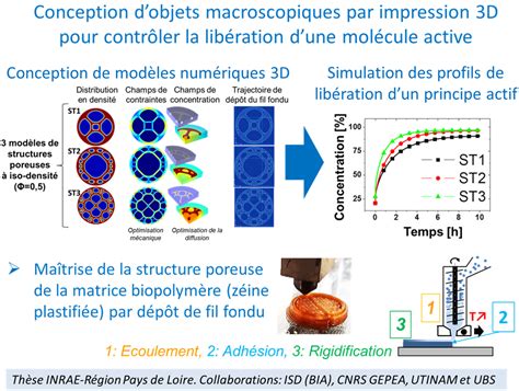 Design Of Macroscopic Objects Using 3d Printing To Release An Active Molecule Unité Bia