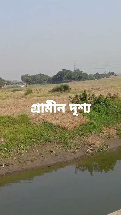 গ্রামীন দৃশ্য Youtube