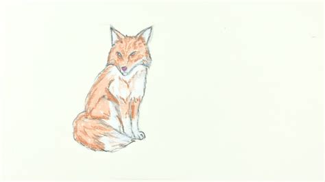 How To Draw A Fox Sitting How To Draw A Fox Sitting