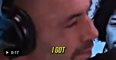 Alpha Male Courting Another Alpha Male In A Typical Mating Ritual 9gag