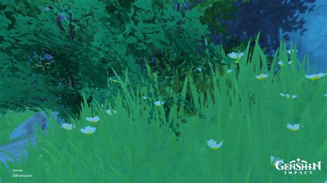 Spot The Nahida Shes Staring At You Right Now R Genshin Impact