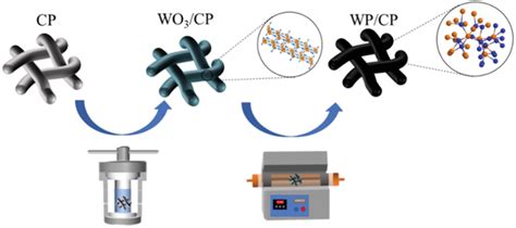 Experiment Workflow And Obtained Sample Structure Schematic Download