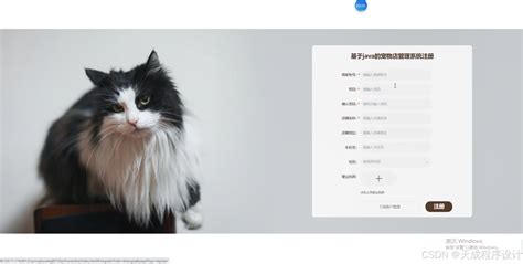 Springboot毕设基于java的宠物店管理系统源码论文部署基于java Springboot的宠物店管理系统的设计与分析国内外文献