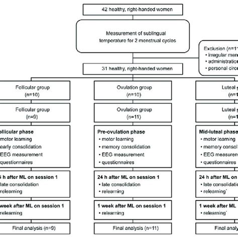 Participant Assignment Flowchart And Overall Schedule Download Scientific Diagram