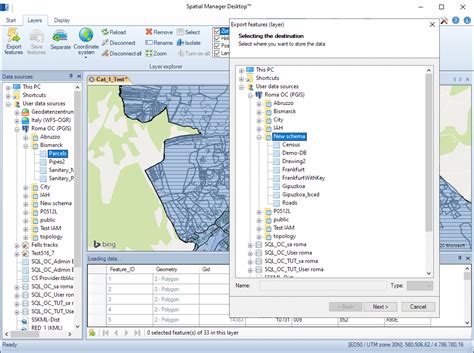 Spatial Manager Desktop Data Management