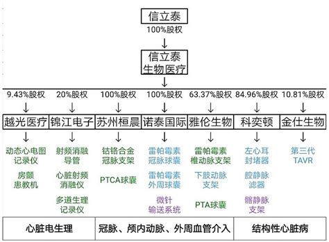 心血管领域医疗器械上市公司三巨头即将诞生 微创医疗 00853 分拆子公司上市玩得越来越嗨 心脉医疗 A股上市微创心通H股