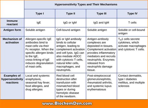 💥💥what Is Hypersensitivity💥💥 ️ Biochemistry Den Facebook