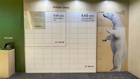 Samsung Display S Next Gen OLED Plant Will Spin Into Full Scale Production In 2026