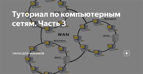Туториал по компьютерным сетям Часть 3 Наука для чайников Дзен