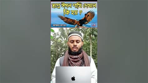 স্বপ্নে ঈগল পাখি দেখলে কি হয় কোন পাখি দেখলে কি হয় Sopner Bekkha Bd হাফেজ বাহাউদ্দিন