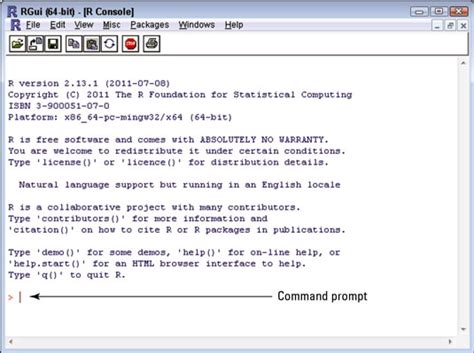 How To Navigate Rgui Dummies