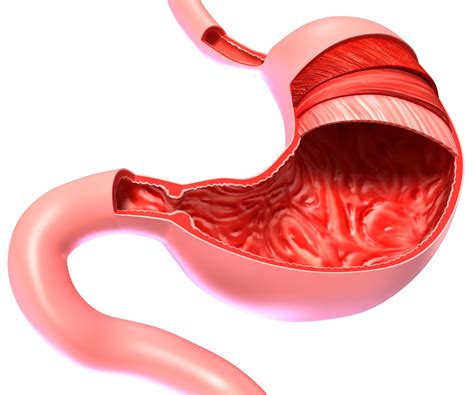 Effects Of Medications On The Stomach