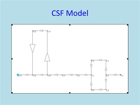Ppt Cns Csf Flow Models And Systemic Simulations Powerpoint Presentation Id 6601793