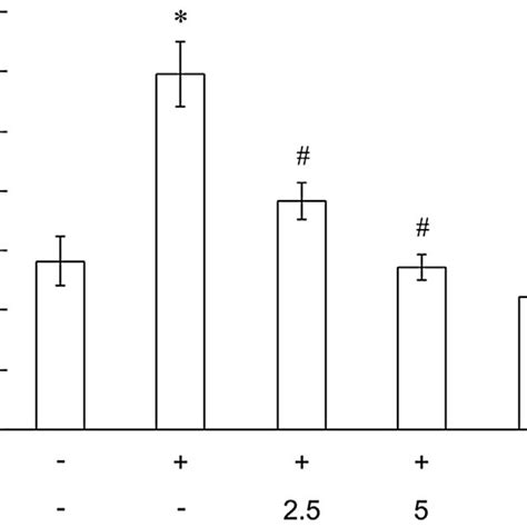 Arecoline Induced Synthesis Of Connective Tissue Growth Factor Download Scientific Diagram