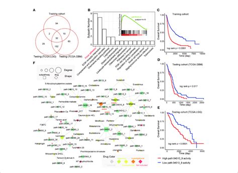 Subpathway Level Functional Exploration And Drug Subpathway Network Download Scientific