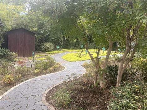 建德莲花镇：污水零直排村建设助推畜禽大镇的美丽蜕变