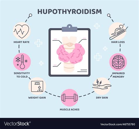 Thyroid Infographic Concept Royalty Free Vector Image