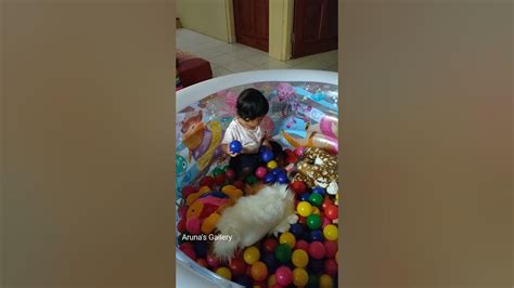 Adek Sedang Bermain Di Kolam Mandi Bola Youtube