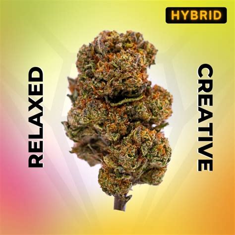 Zoap • Hybrid Melee Dose