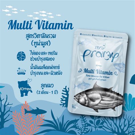 Pramy พรามี่ อาหารเปียกแมวโต แบบซอง บำรุงสุขภาพ ชิ้นใหญ่ เต็มคำ 70g